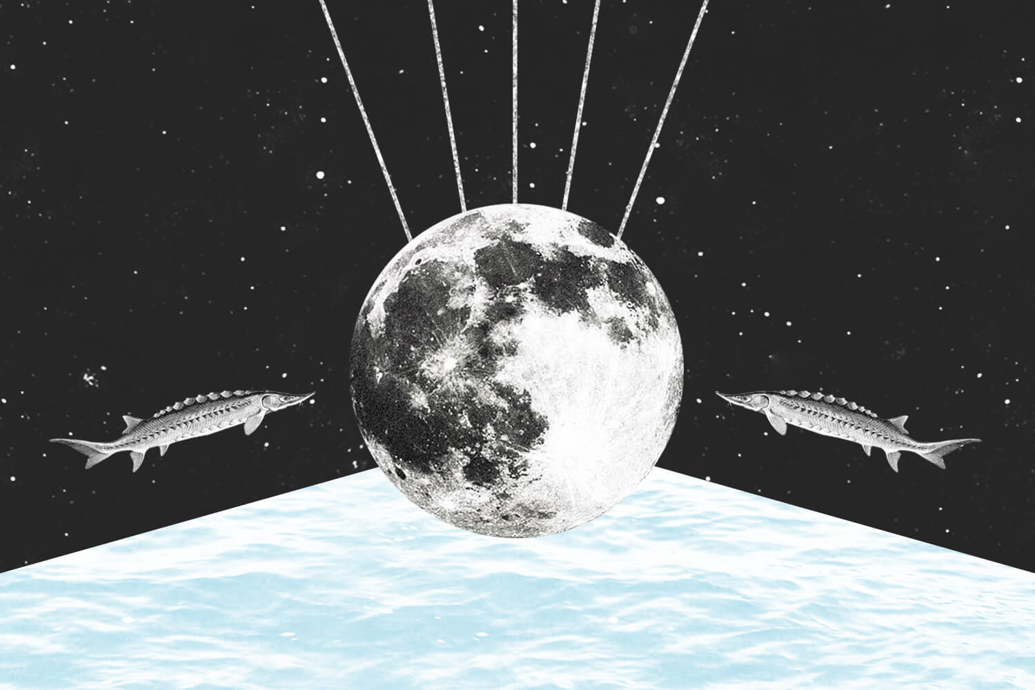 Types of Full Moons: Supermoon, Harvest Moon, and More Types of Full ...